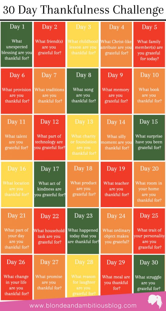 30 Day Thankfulness Challenge - Taylor, Lately